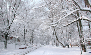 16 Things To Do When it Snows! - Stylish Life for Moms