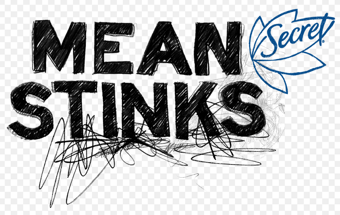 Secret Mean Stinks Anti-bullying Curriculum - Stylish Life for Moms