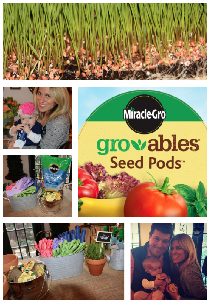 Miracle-Gro Gro-ables Seed Pods - Stylish Life for Moms