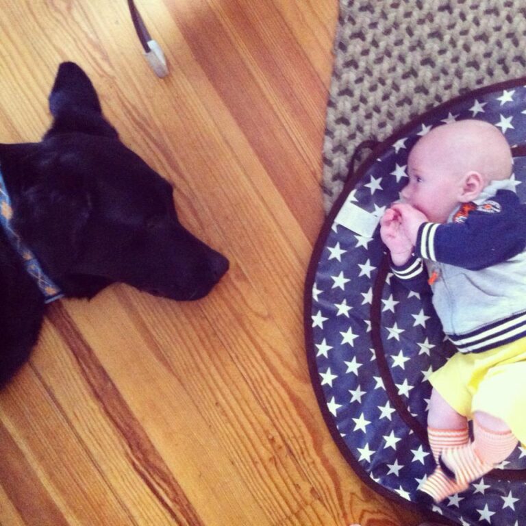 The Patemm Pad: A Must-Have Baby Item For New Moms - Stylish Life for Moms