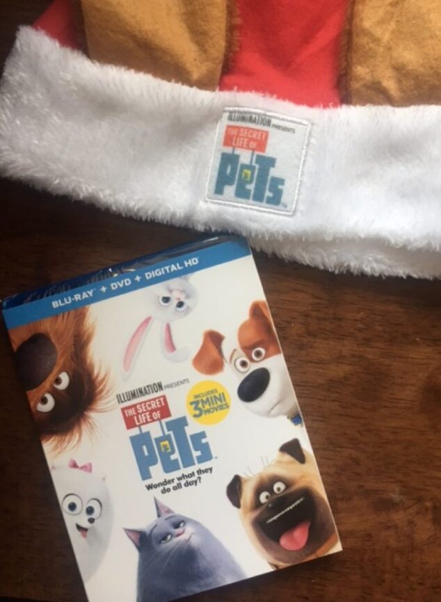 Family Movie Night with The Secret Life of Pets #TheSecretLifeOfPets # ...