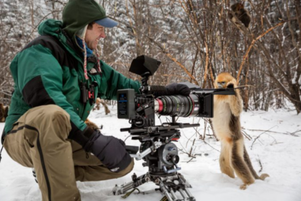 Disneynature Born in China - 5 Reasons To See - Stylish Life for Moms