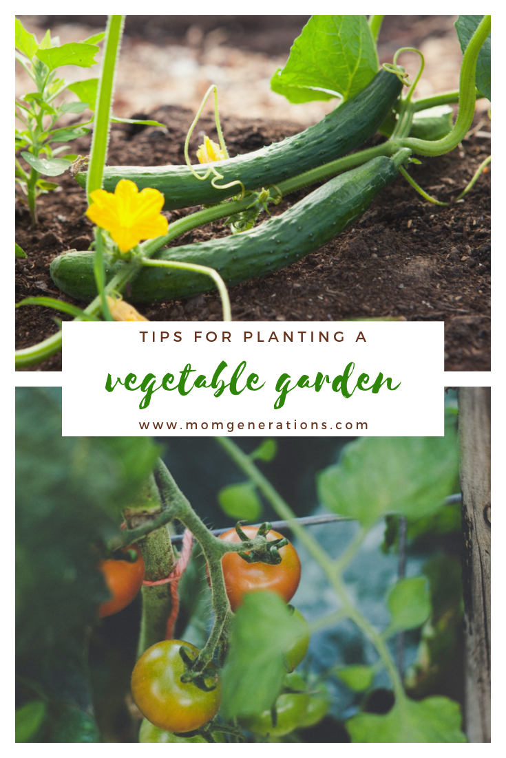Spring Vegetable Garden - How to Start - Stylish Life for Moms