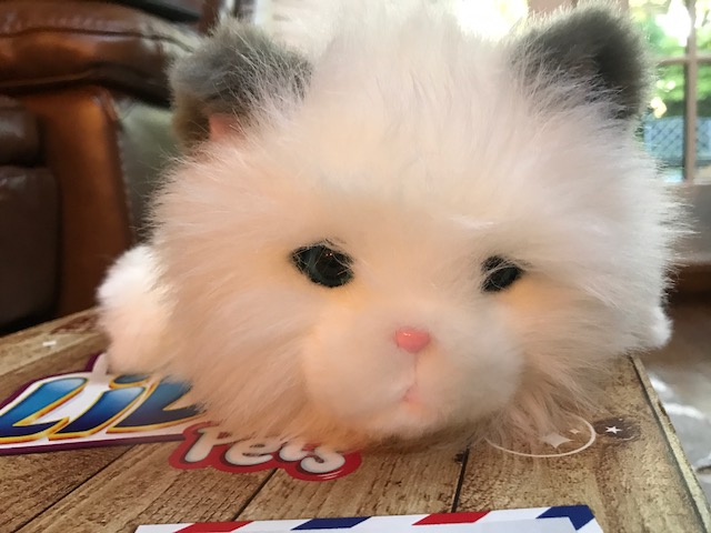 Little Live Pets Kitten - Stylish Life for Moms