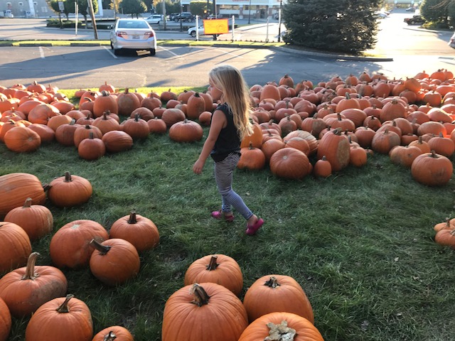 How to Pick the Perfect Pumpkin - Stylish Life for Moms