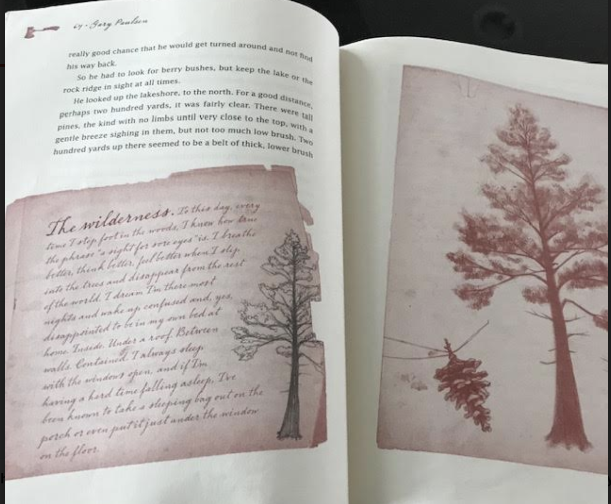 Hatchet Book by Gary Paulsen - Stylish Life for Moms