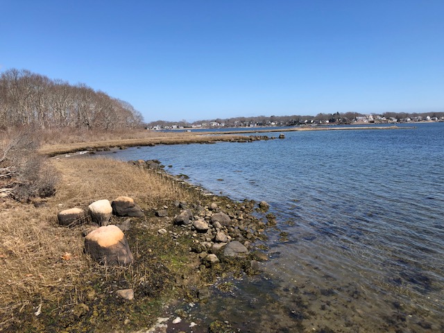 Camp Fuller | YMCA of Greater Providence - Stylish Life for Moms