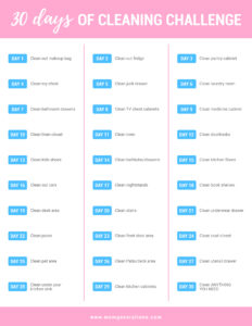 Cleaning Challenge - 30 Day Clean House Challenge