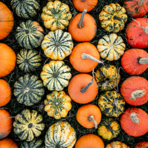 October Activities To Do with your Family - Stylish Life for Moms